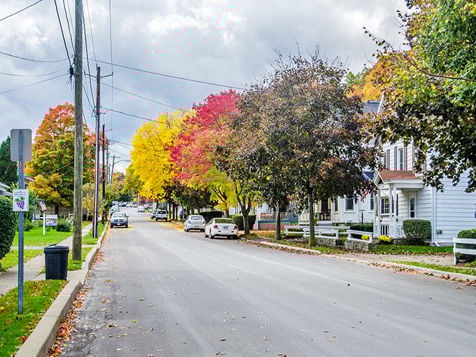 Fall colors frame this charming street like nature's own Instagram filter, minus the digital fakery.