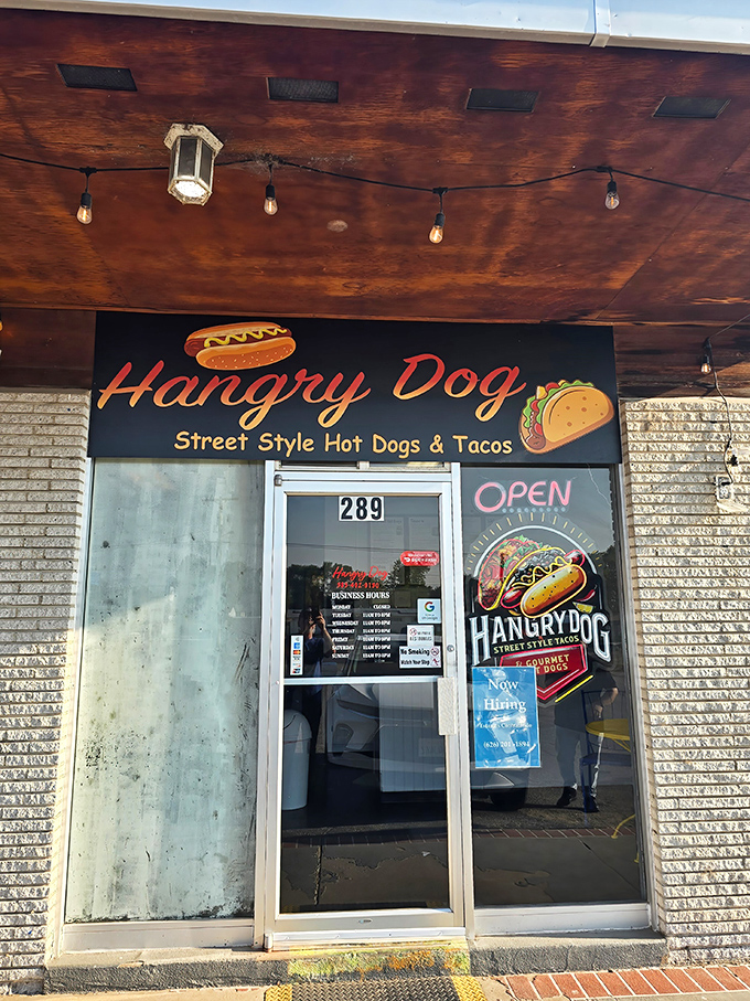 String lights and good vibes: sometimes the best meals come from the most unassuming places.