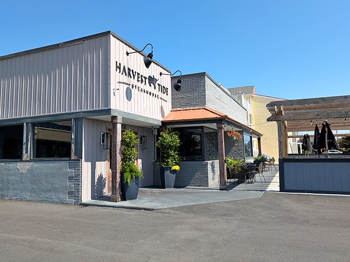 Morning light bathes Harvest Tide's exterior&mdash;a humble facade hiding a wonderland of prime cuts and seafood treasures.