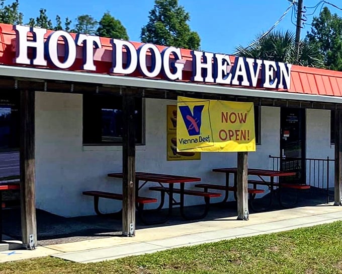 Simple pleasures done right! This humble hot dog haven proves paradise doesn't need fancy digs, just perfect snap and authentic toppings.