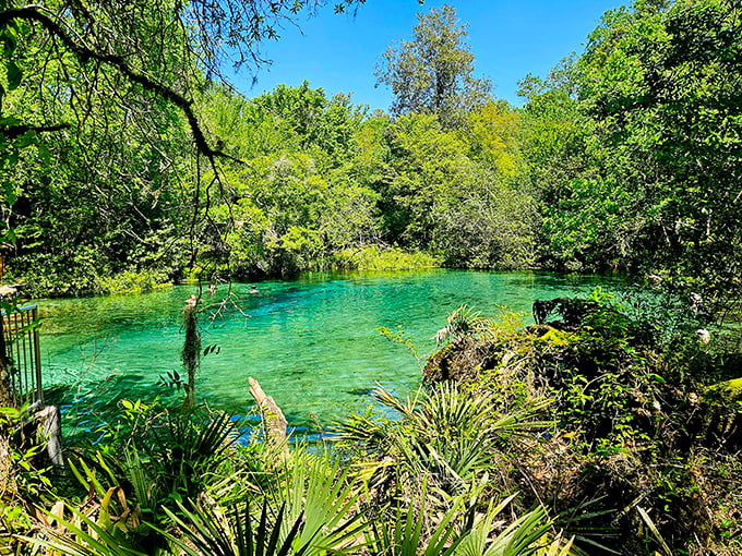 Nature's mirror at its finest! The gentle ripples catch sunlight while whispering, "Your air-conditioned office can wait another day."