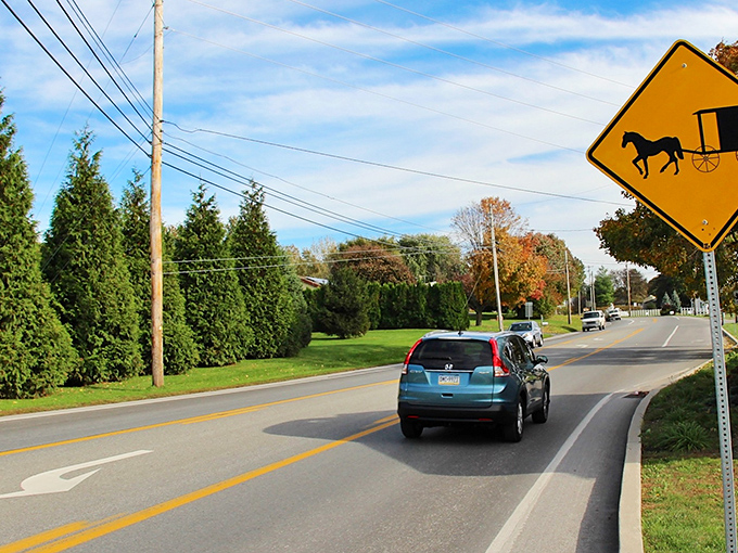 That yellow warning sign isn't kidding - this is where two worlds meet on the same peaceful street.
