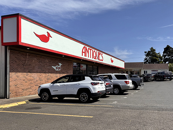 Behind those welcoming doors lies a carefully curated wonderland of yesterday's forgotten treasures.