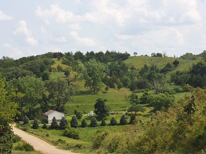 Rolling hills stretch to the horizon under an endless Iowa sky. Who needs mountains when you've got this view?