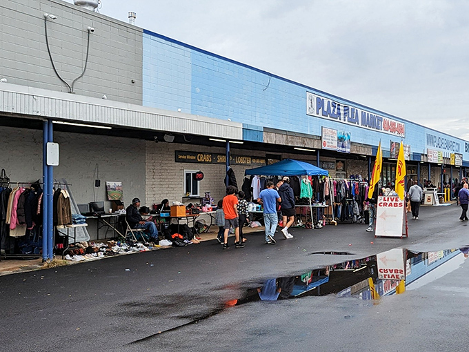 That distinctive blue building houses endless vendor booths where patient shoppers always find something worth taking home.