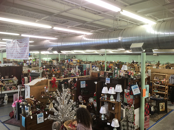 Step inside this treasure trove where every aisle holds the promise of your next favorite find.