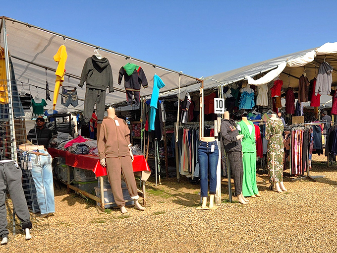 When your clothing rack has better organization than most department stores, you know you've found gold.