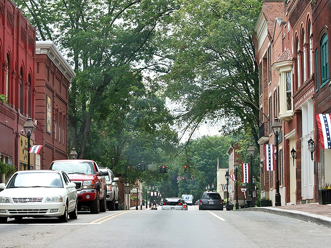 Tree-lined streets create a natural canopy over Rogersville's main thoroughfare. The red brick buildings stand shoulder to shoulder like old friends who've weathered many seasons together.