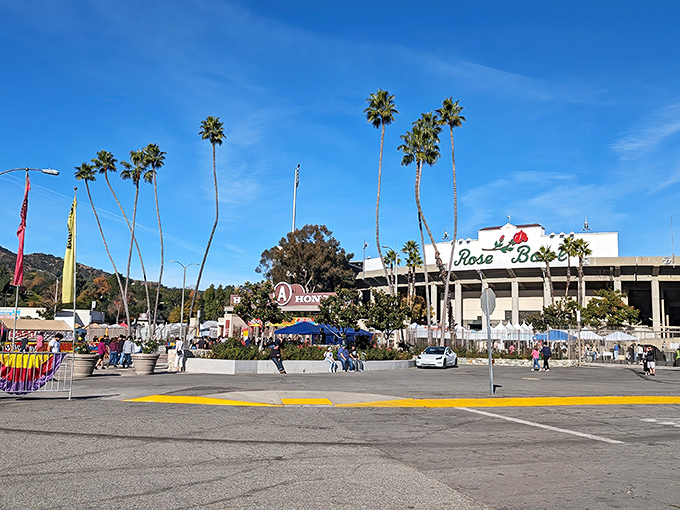 Palm trees frame this monthly gathering where serious collectors hunt for their next prized possession.