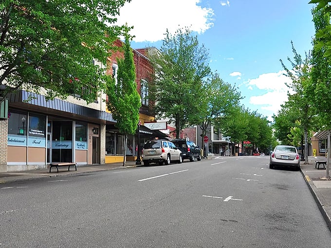 Tree-lined streets and historic buildings make Roseburg's downtown feel like a step back to simpler times.