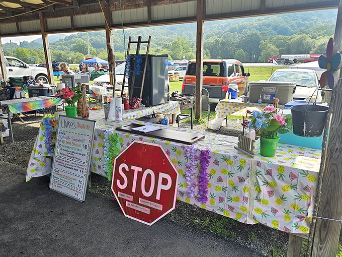 Mountain views frame this treasure hunter's paradise where every table holds potential discoveries.