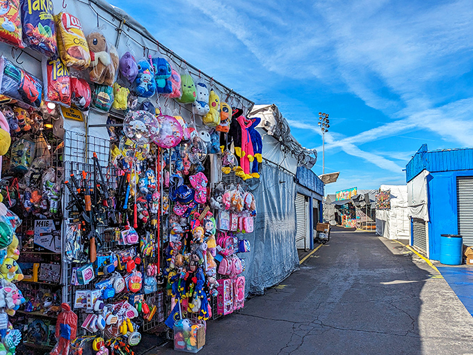 This colorful maze of vendors proves that the best shopping adventures happen under open skies and friendly tents.