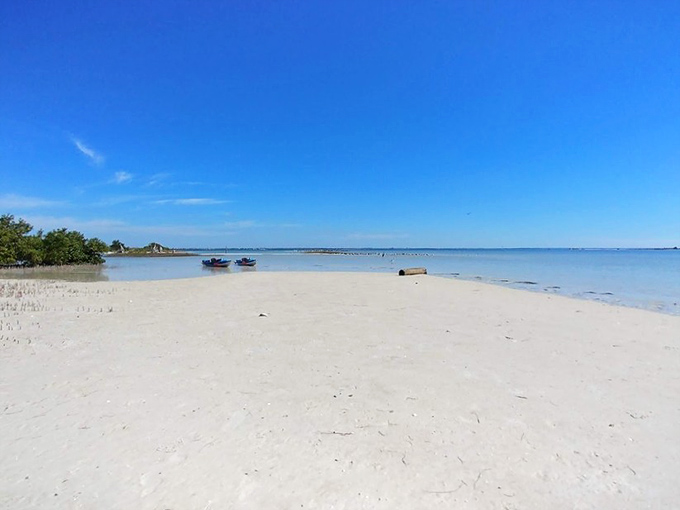 Shallow paradise stretches for miles at South Anclote, creating nature's version of an infinity pool with better views.