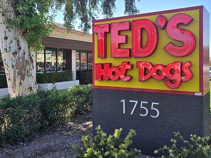 That glowing red "Ted's Hot Dogs" sign is like a bat signal for hungry folks. The charcoal-grilled goodness inside is worth answering the call.