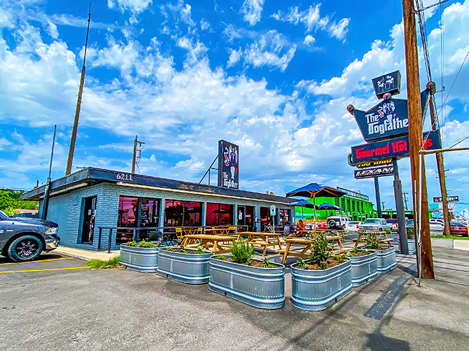 Blue skies, picnic tables, and gourmet hot dogs &ndash; The Dogfather knows how to make an ordinary lunch extraordinary.
