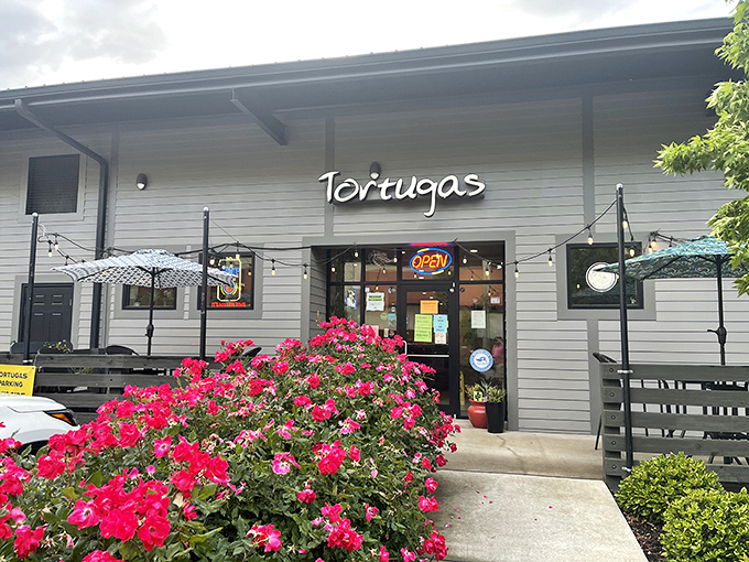 That "Open" sign might as well read "Paradise Found" for pizza lovers.