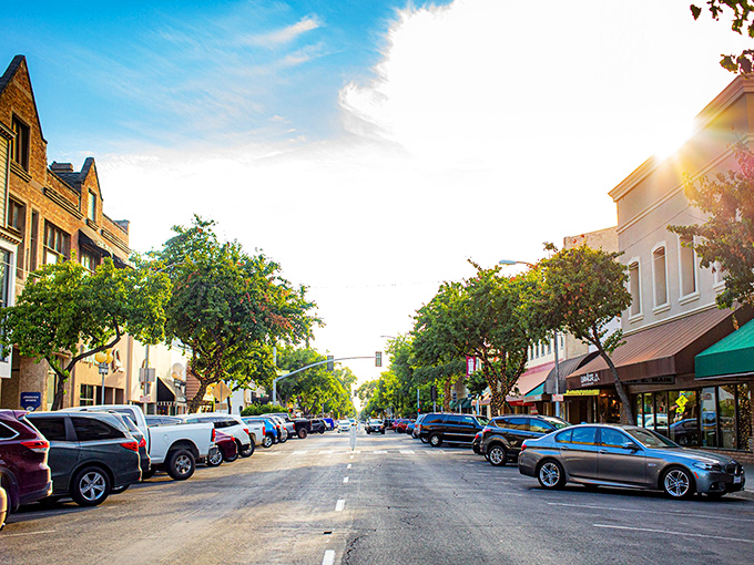 Sunlight dapples through trees along Visalia's Main Street, where small-town prices meet big-city amenities.