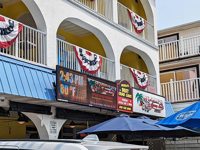 This Dewey Beach institution wears its casual charm like a well-loved fishing hat - perfectly broken in.