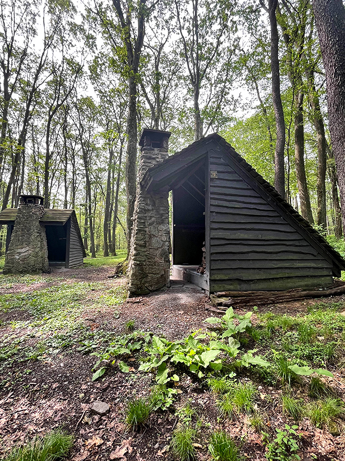 Rustic Adirondack shelters offer hikers a five-billion-star accommodation experience. The housekeeping is minimal, but the views are unmatched.