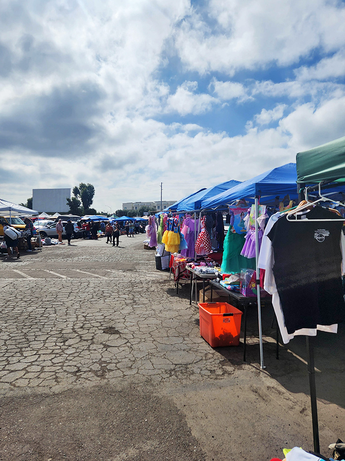 A kaleidoscope of merchandise under San Diego's perfect blue sky. Every aisle promises discoveries that big-box stores simply can't deliver.