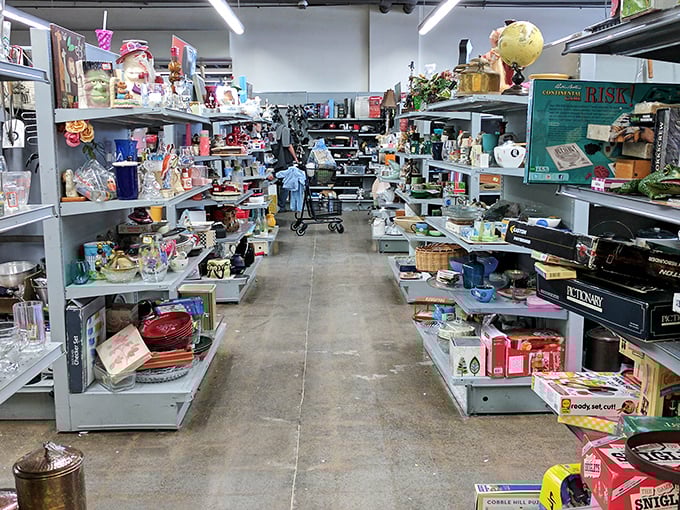 Every aisle tells a story. From vintage board games to quirky kitchen gadgets, each shelf holds possibilities that big-box stores simply can't match.