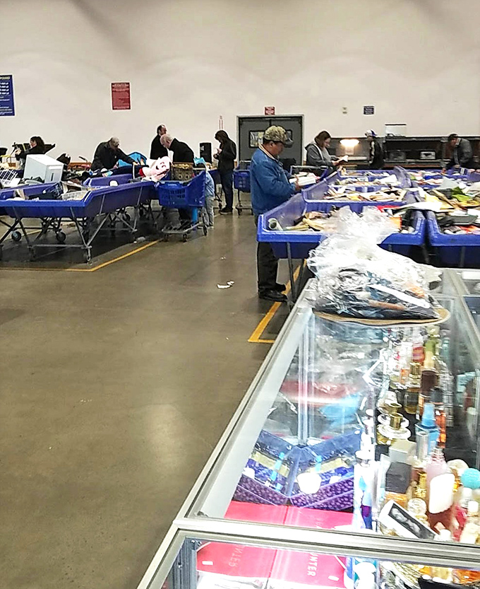 The serious bin-divers are easy to spot&mdash;they approach each new bin with the focus of a surgeon and the hope of a lottery player.