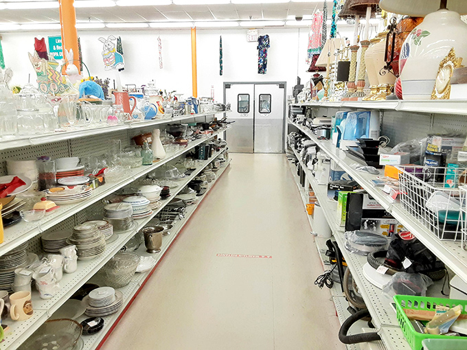 Aisles that seem to stretch into infinity, each shelf a potential goldmine of forgotten treasures waiting for rediscovery.