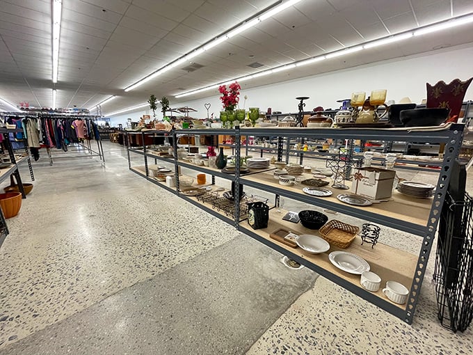 Shelves lined with everyday treasures await new homes. One person's forgotten casserole dish is another's entertaining essential.