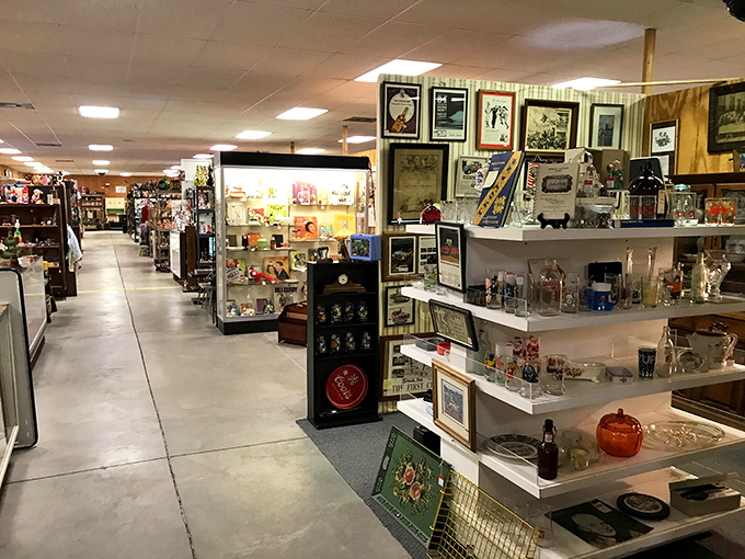 Endless aisles of possibility stretch before you, each one a rabbit hole of nostalgia waiting to be explored.