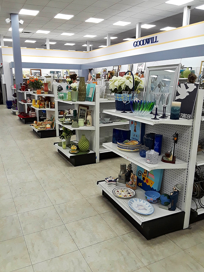 Organized chaos at its finest – shelves of housewares that make you suddenly "need" that pineapple-shaped cookie jar.