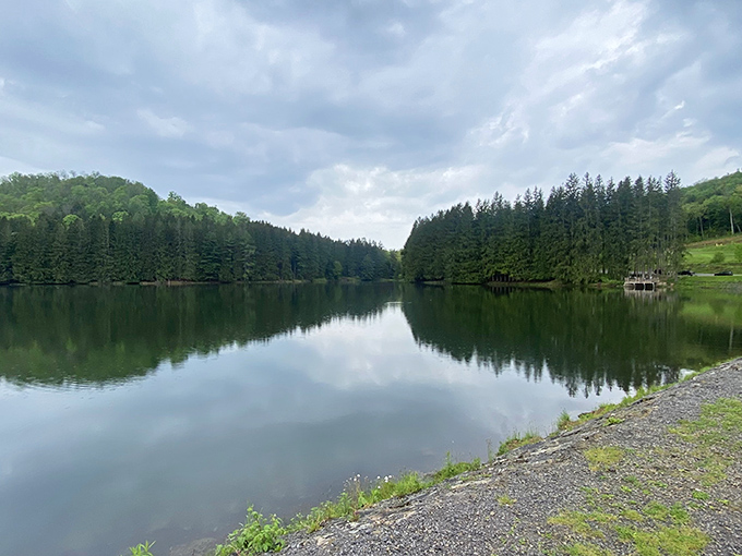 Mirror-like waters at the nearby reservoir create nature's perfect selfie backdrop – the kind of tranquility that makes you forget passwords and deadlines.