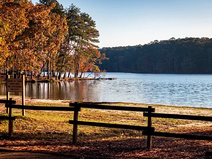 Autumn transforms Shadow Lake into Mississippi's answer to a New England postcard, minus the traffic.