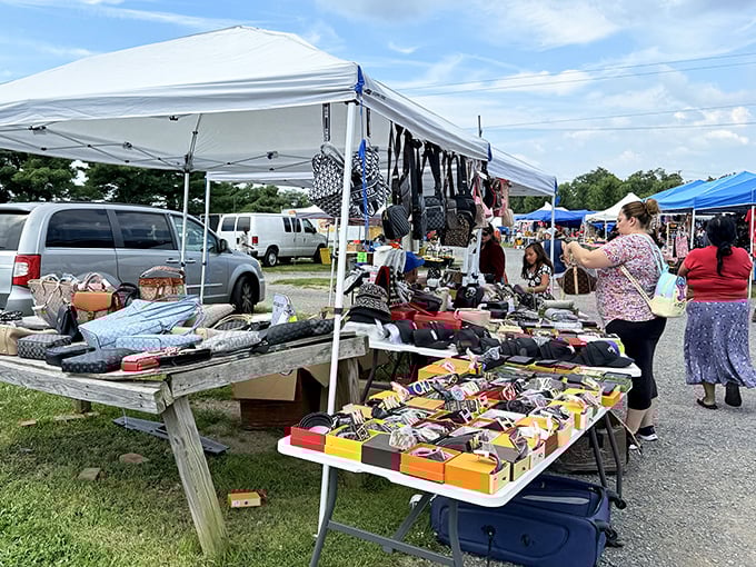 The thrill of the hunt is real at these outdoor stalls, where shoppers scan tables for that perfect something they didn't know they needed.