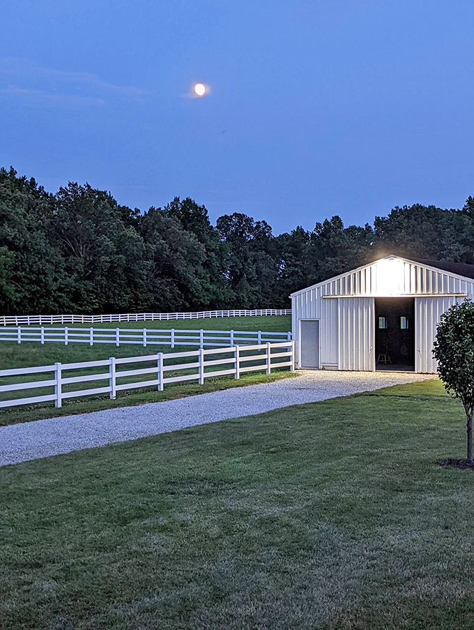 Moonlight serenade, farm edition. The silvery glow illuminates white fences and outbuildings, creating the kind of tranquility you can't buy in a meditation app.
