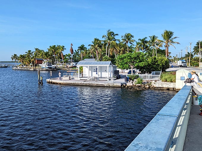 Where land meets water in perfect harmony. Matlacha's waterfront offers postcard views that Instagram filters couldn't improve if they tried.