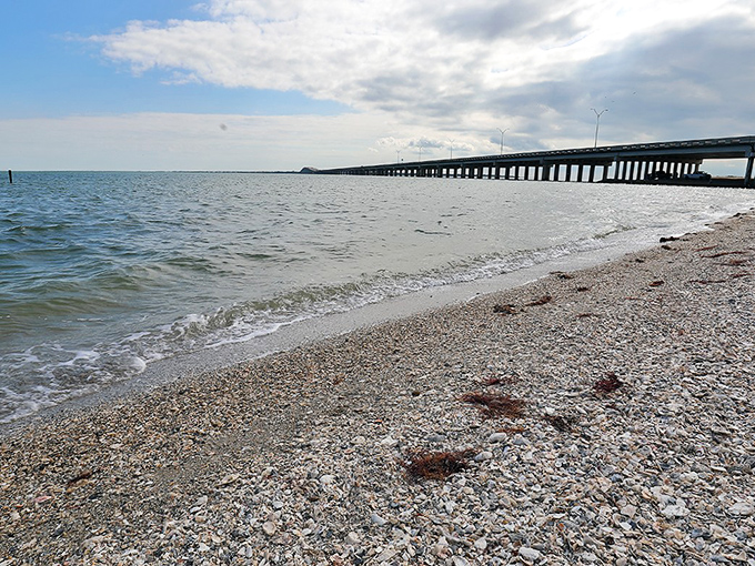 Who needs sugar-sand beaches when you've got this authentic Texas coastal experience? The shell-strewn shore and distant causeway create a postcard-perfect scene for contemplative walks.