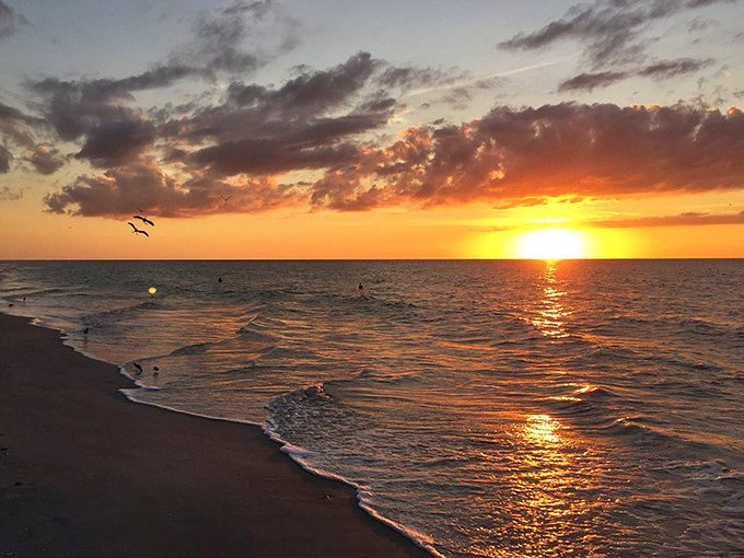 Nature's nightly masterpiece &ndash; a Belleair Beach sunset paints the Gulf waters with liquid gold.