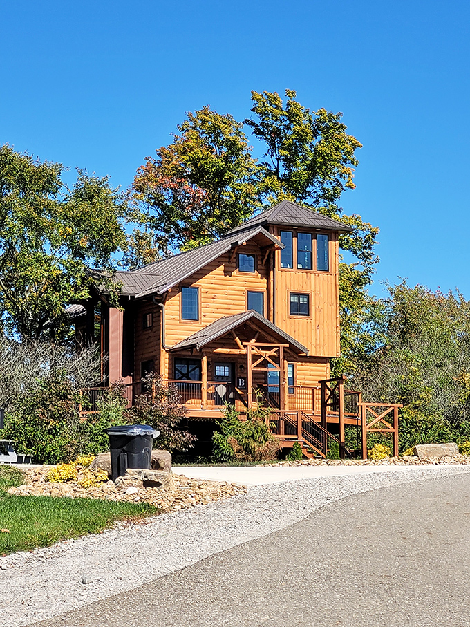 These treehouses prove that luxury and nature can coexist without WiFi passwords or room service.