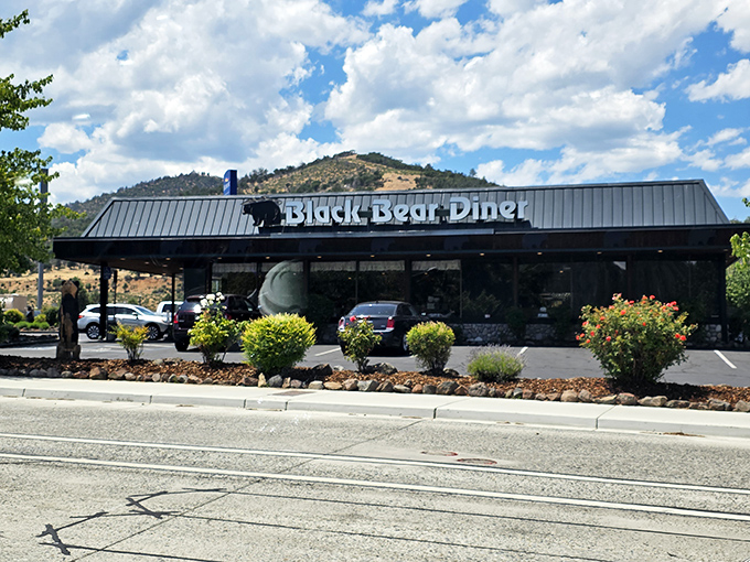 The Black Bear Diner isn't just a restaurant&mdash;it's practically Yreka's community center, where portions are measured in "could feed a lumberjack" sizes.