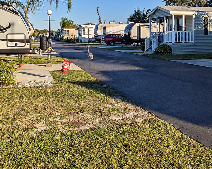 Retirement communities in Bushnell offer affordable living without sacrificing comfort&mdash;where even the local wildlife feels welcome enough to stop by.