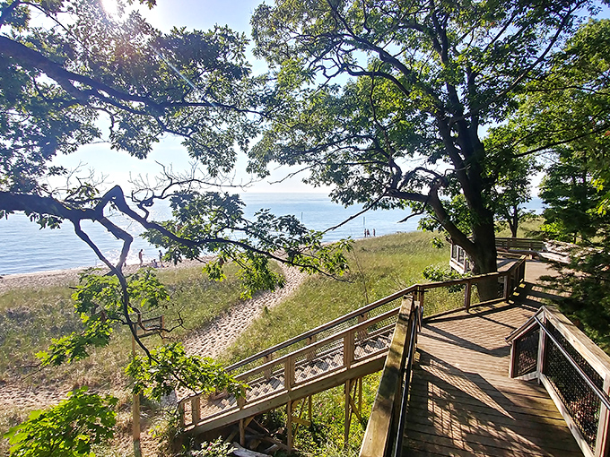 Nature's grand staircase. The wooden boardwalk guides visitors through a forest cathedral before revealing Lake Michigan's blue expanse.