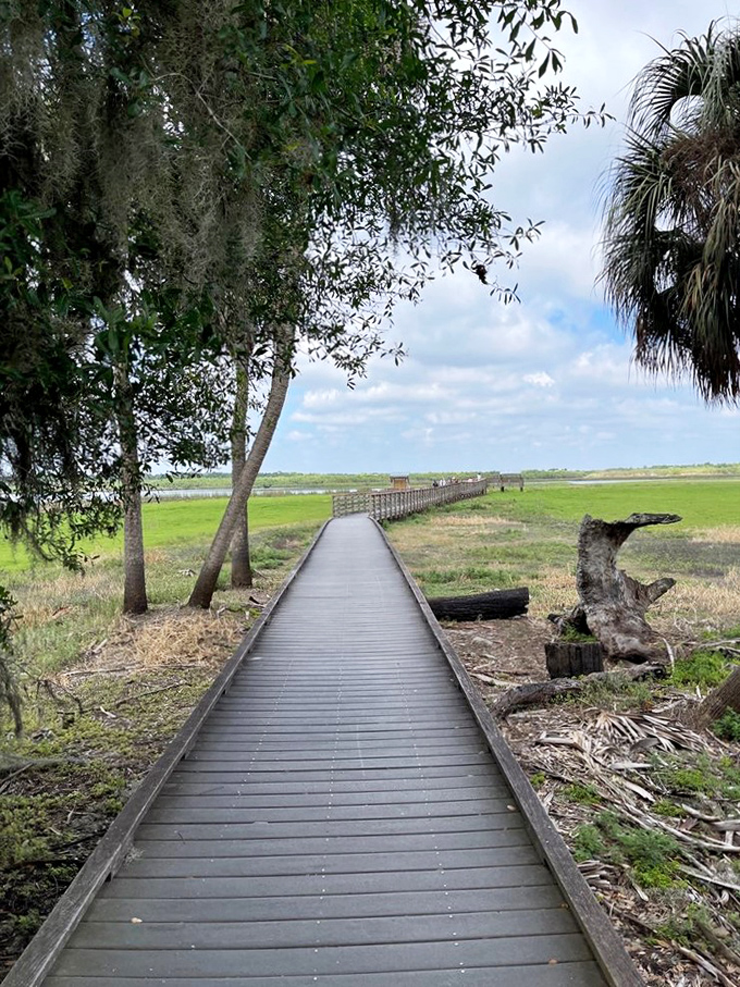 This boardwalk leads to prairie vistas that would make even the most dedicated beach-lover reconsider their allegiance to sand.