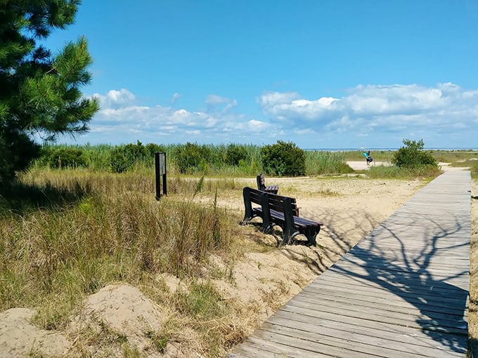A wooden boardwalk winds through coastal grasses, offering both a path to the beach and a moment to pause on that inviting bench.