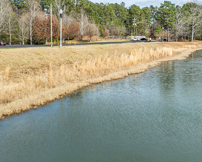 Bonita Lakes Park provides serene waterfront views and walking paths where retirees can commune with nature without venturing far from civilization.
