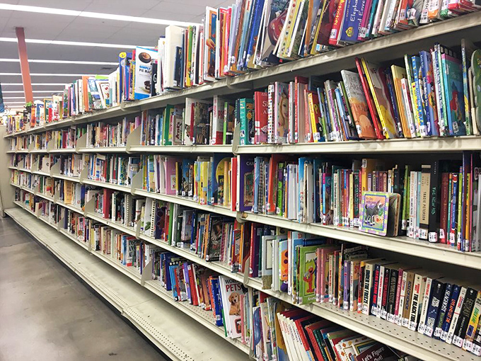 The literary motherlode! More books than a library convention, each spine holding someone else's adventure waiting for you.