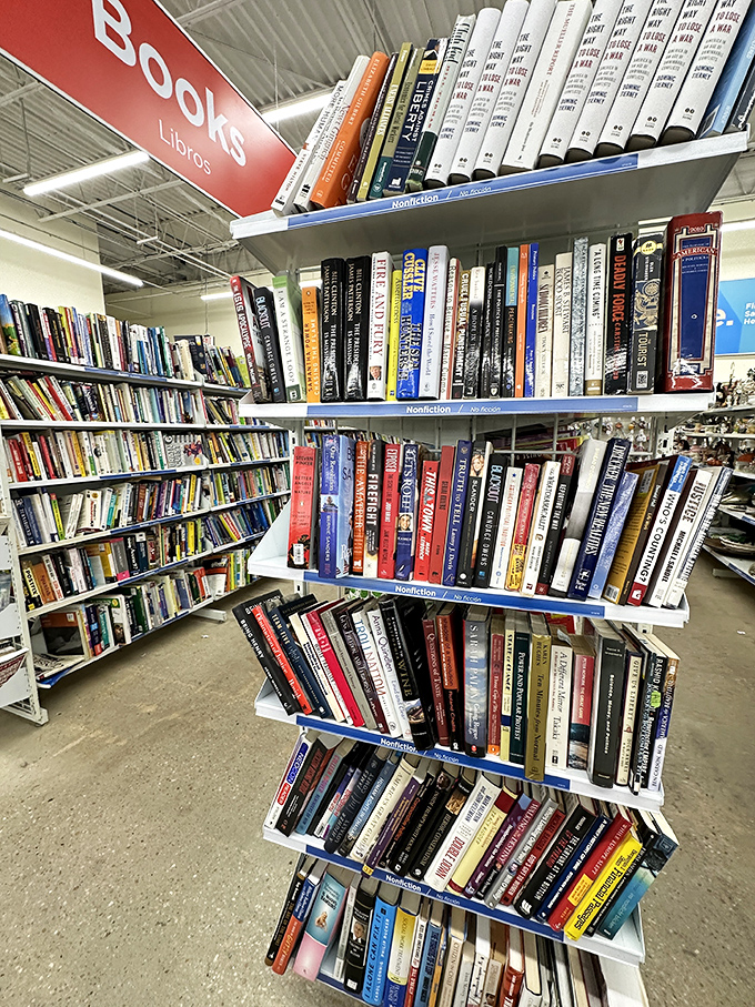 Bibliophiles rejoice! These shelves hold literary treasures waiting to be rediscovered, from bestsellers to forgotten classics.