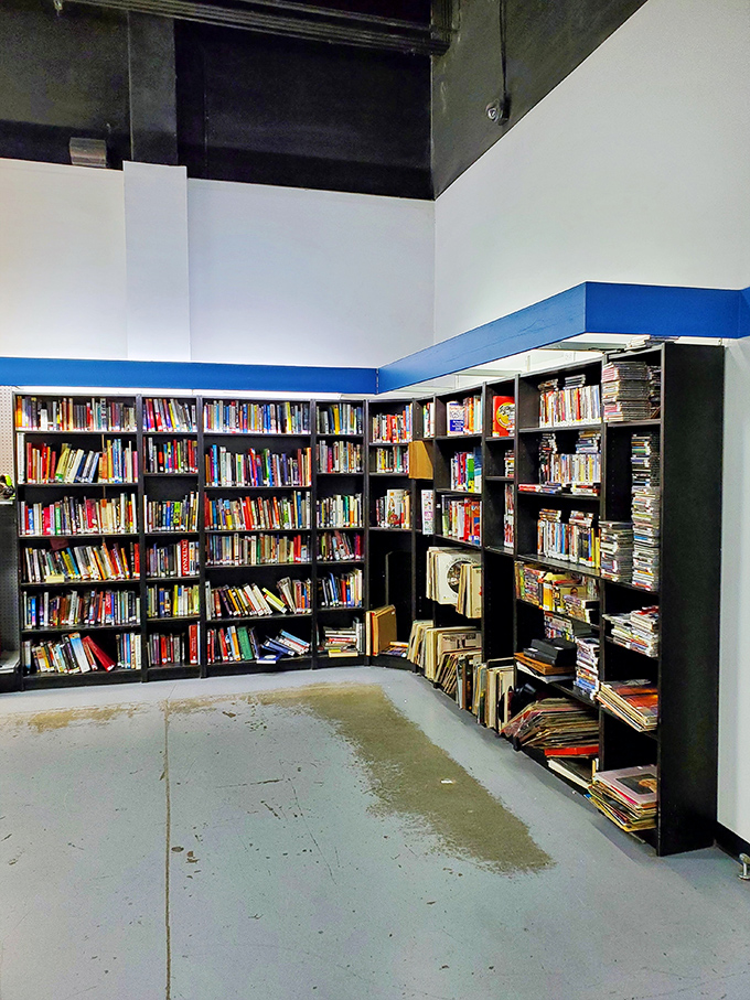 Bibliophiles, rejoice! This literary corner houses everything from dog-eared classics to yesterday's bestsellers—intellectual gold at paperback prices.