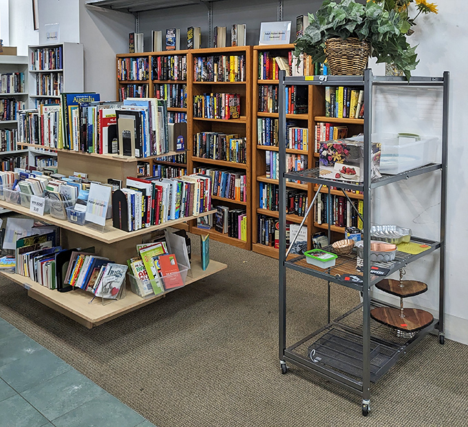 A bibliophile's dream corner where literary treasures await adoption at prices that make Amazon weep with jealousy.