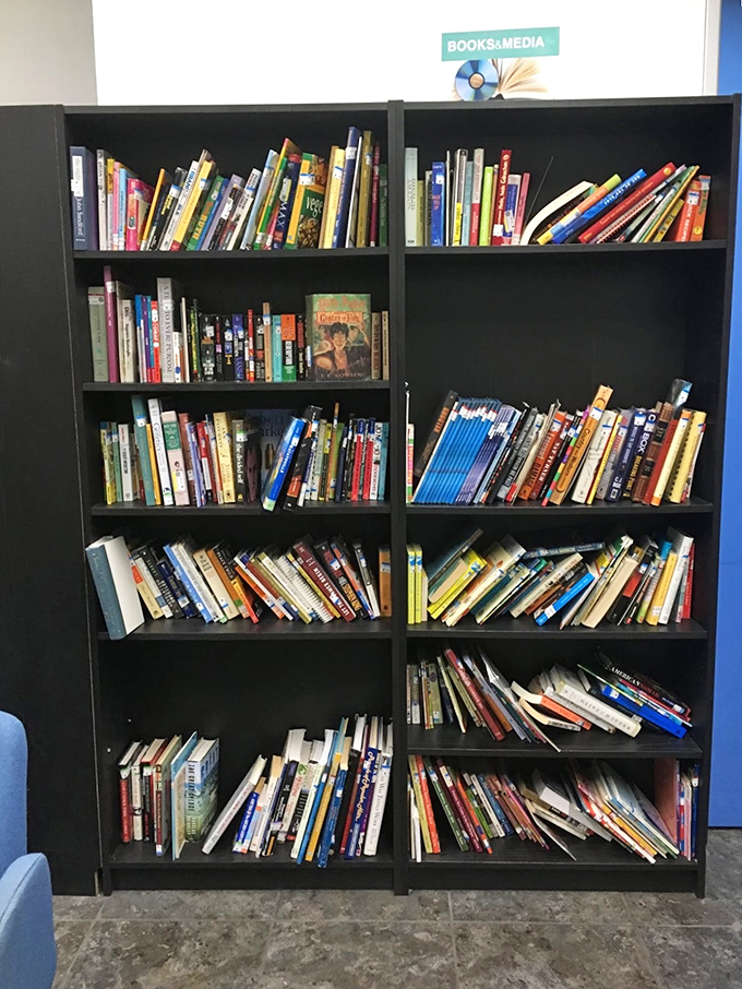 Literary treasures await the patient browser. From bestsellers to forgotten classics, these shelves hold stories within stories.
