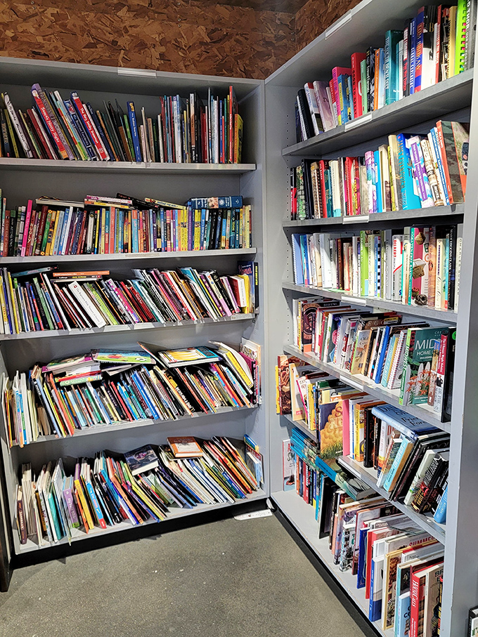 A bibliophile's dream corner where forgotten bestsellers and childhood classics find new homes with eager readers of all ages.